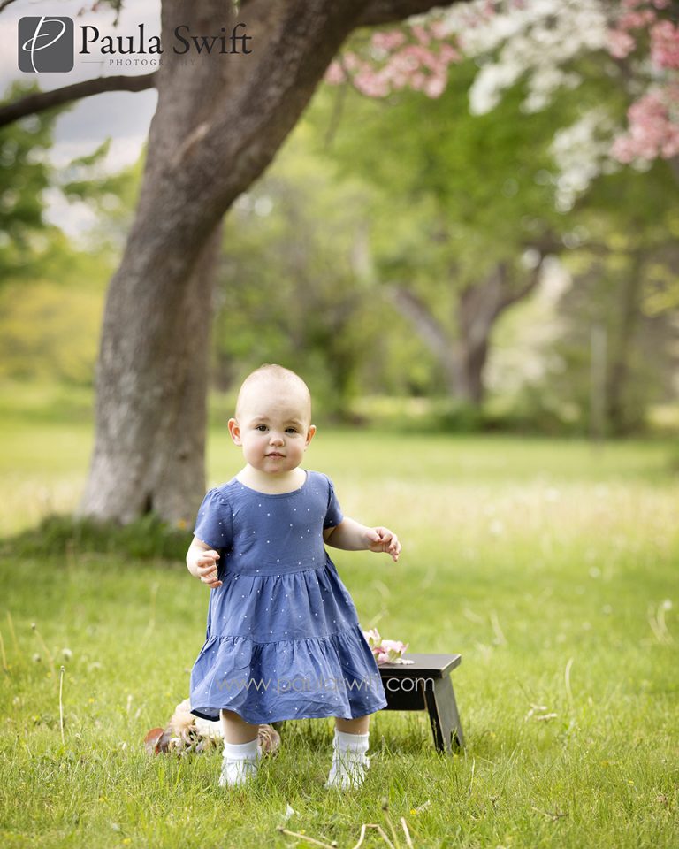 Springtime Photography Session in Framingham