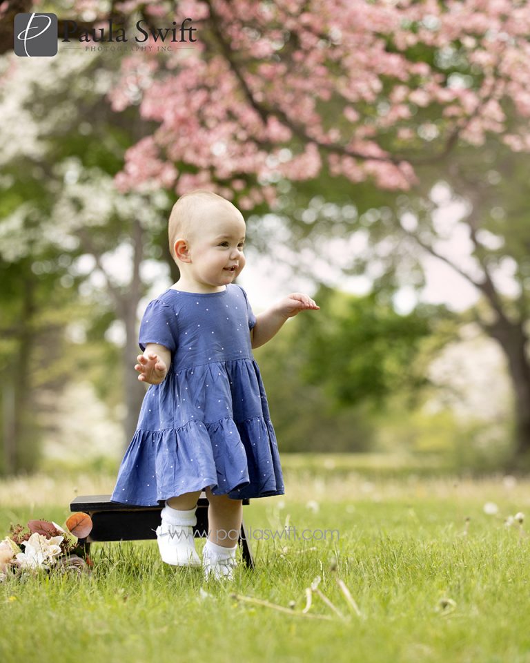 Springtime Photography Session in Framingham