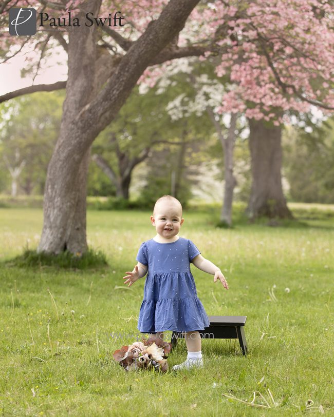 Springtime Photography Session in Framingham