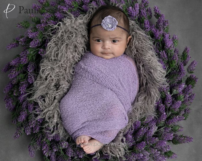 Newborn Photographer Boston MA – Baby Photos Sudbury