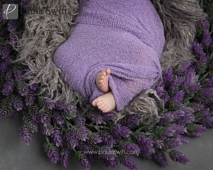 Newborn Photographer Boston MA – Baby Photos Sudbury
